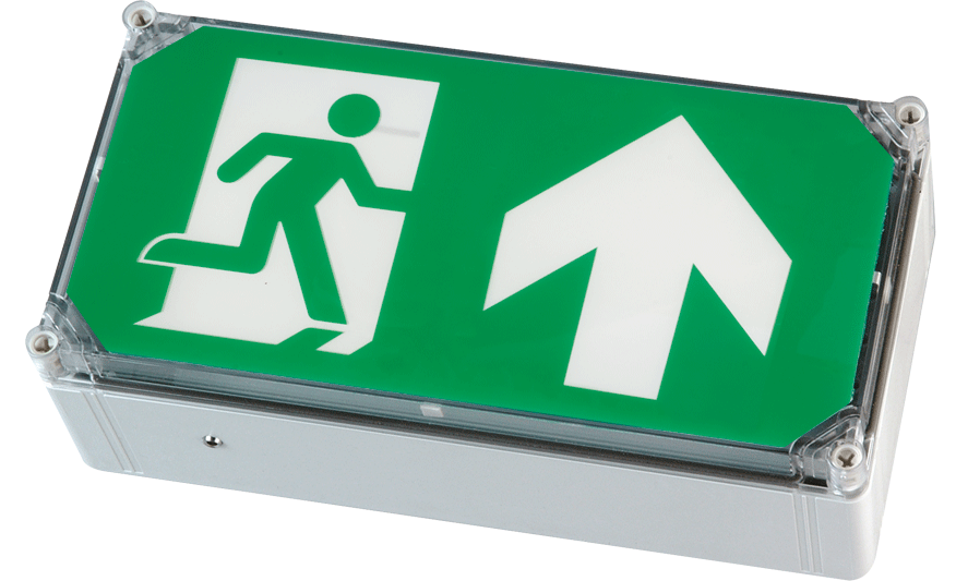 WP EXIT BOX - IP65 weatherproof emergency LED exit box | Tamlite Lighting