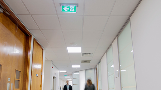 Tamlite Lighting | Office